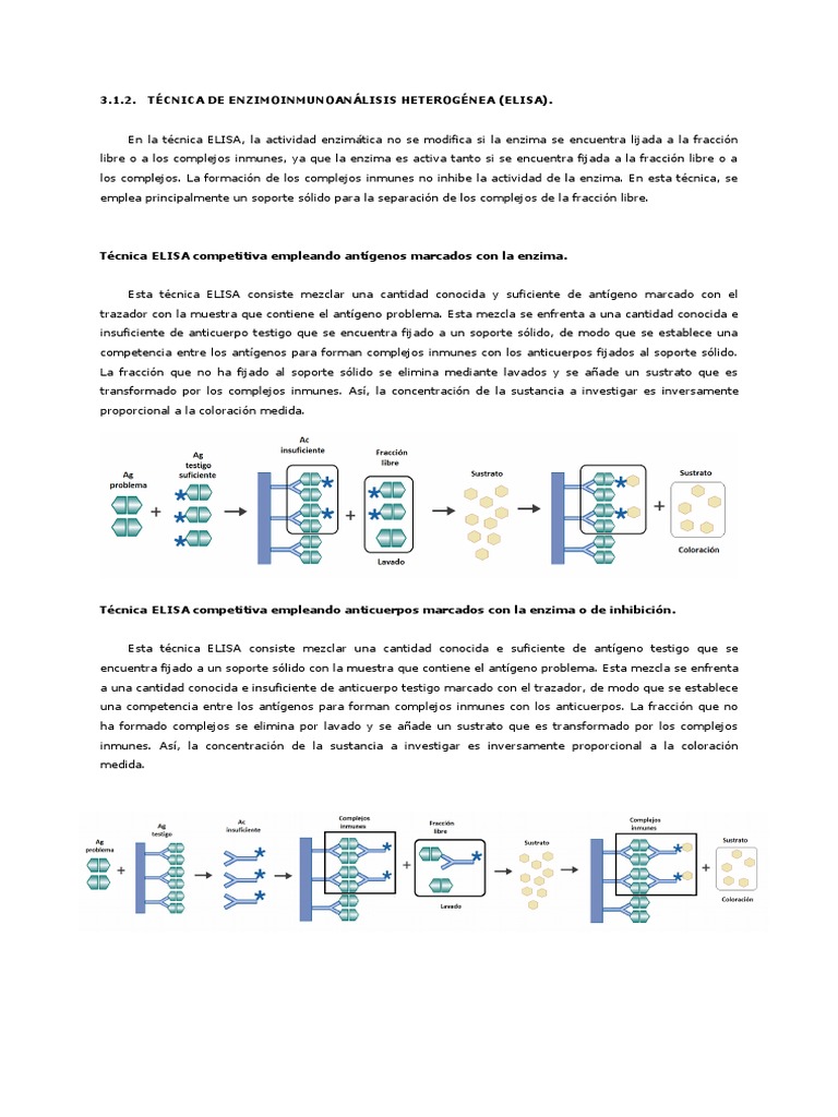 Técnicas de ELISA: Métodos y Aplicaciones | PDF | Elisa | Anticuerpo