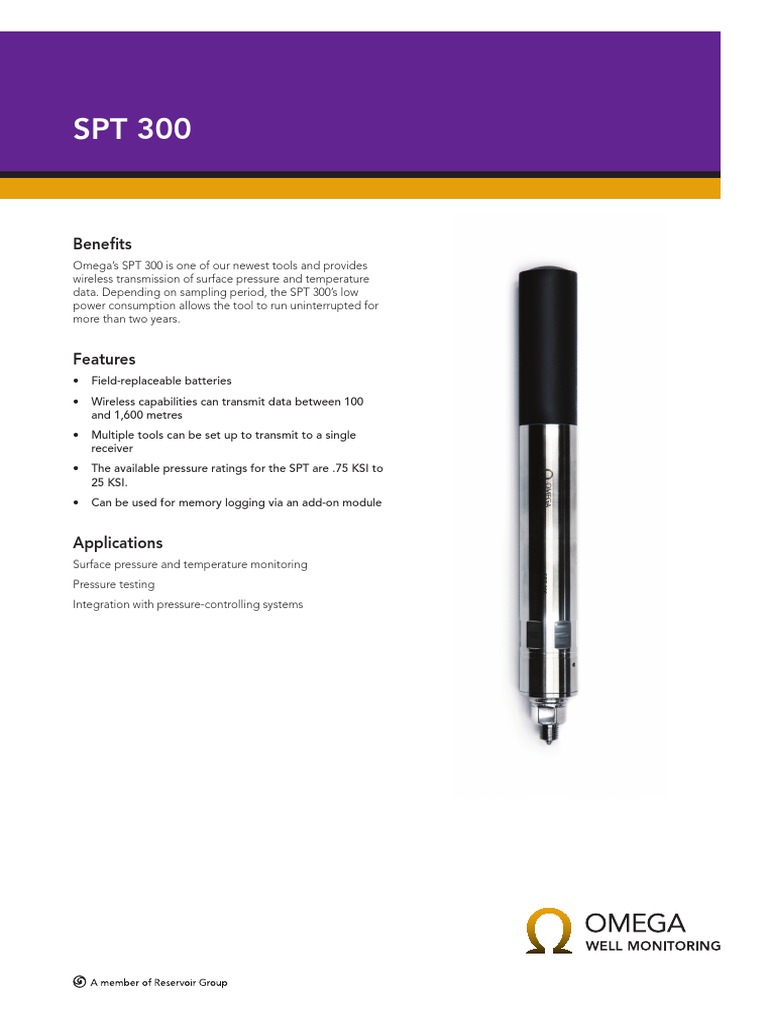 RG Omega SPT 300 A4 Datasheet | PDF | Pressure | Manufactured Goods
