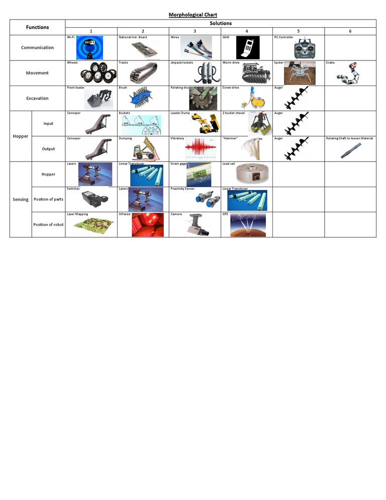 Morphological Chart | PDF