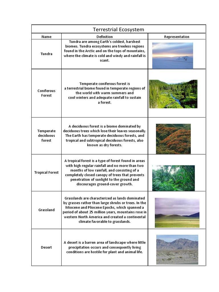 Terrestrial Ecosystem | PDF | Grassland | Forests