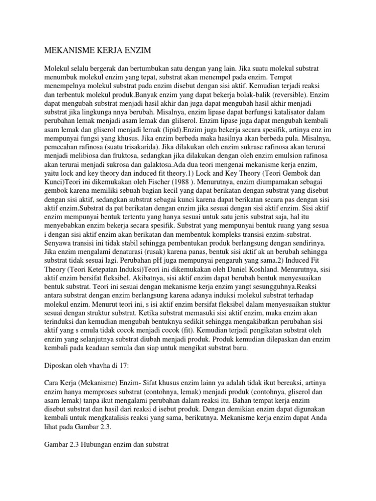Mekanisme Kerja Enzim | PDF