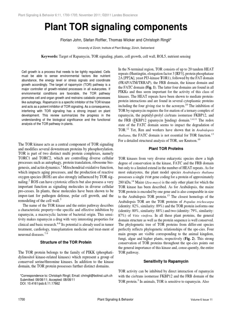 Plant TOR Signaling Components | PDF | Arabidopsis Thaliana | Cell ...