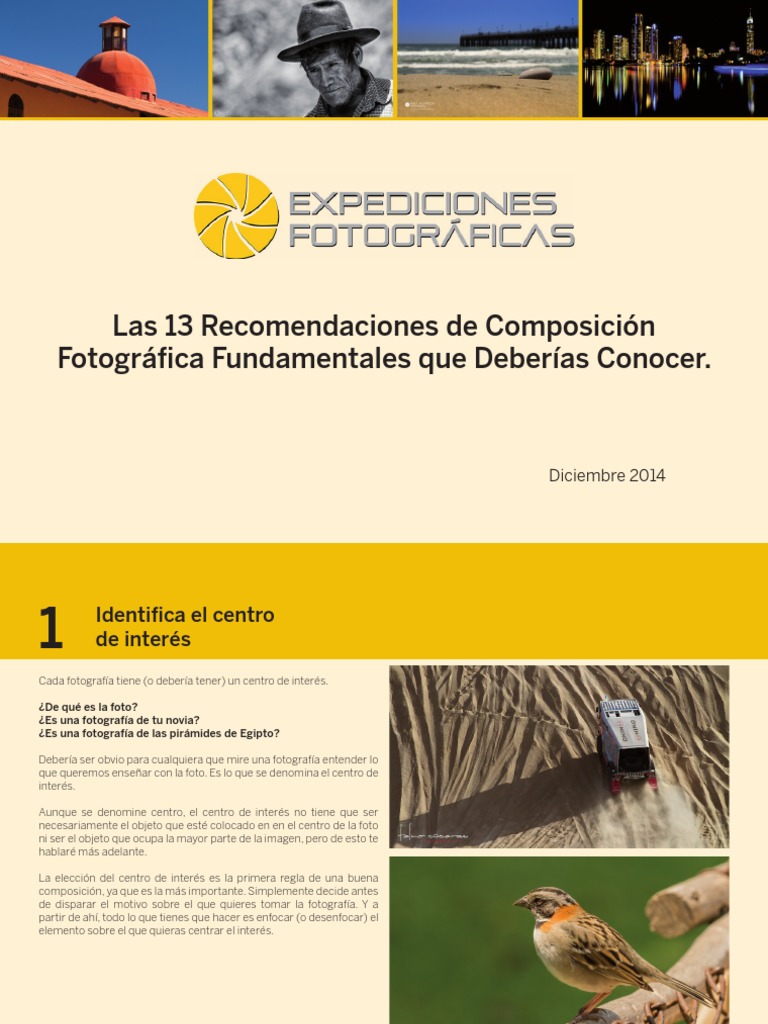 Reglas de Composición | PDF | Color | Visión