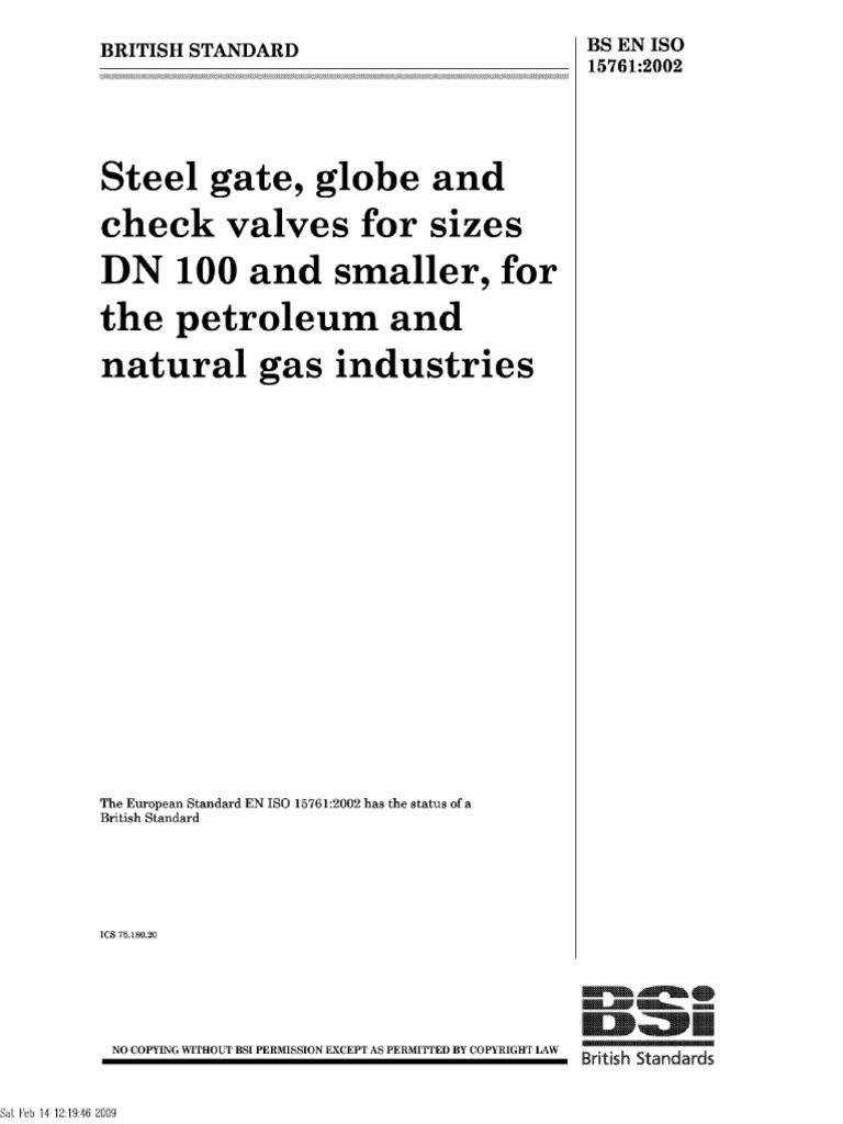 BS en Iso 15761 2002 | PDF