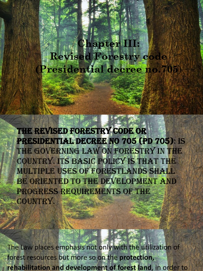 Revised Forestry Code Part 3 | PDF | Forestry | Crime & Violence