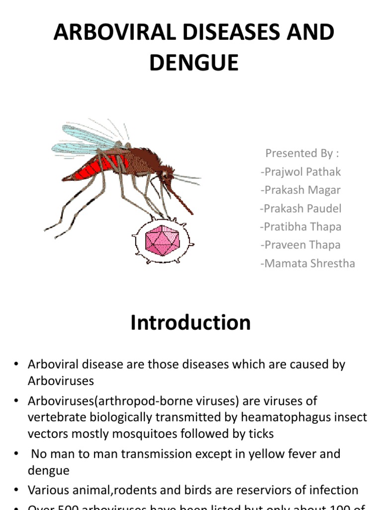 Arboviral Diseases and Dengue Final | PDF | Medical Specialties ...