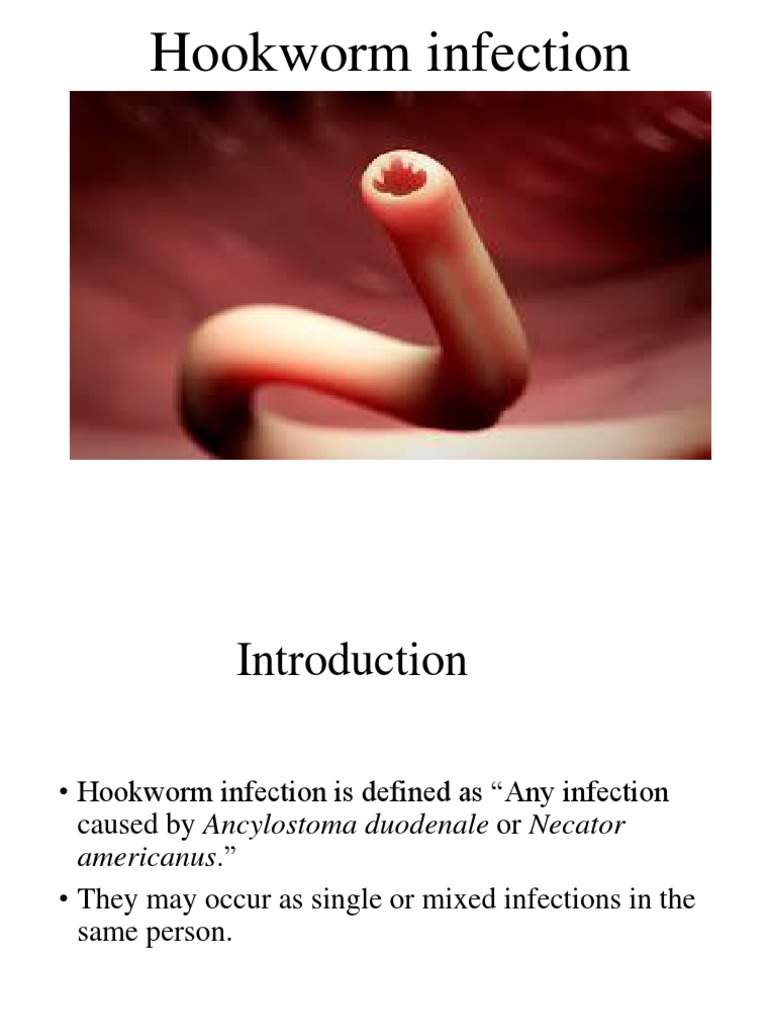 Hookworm | PDF