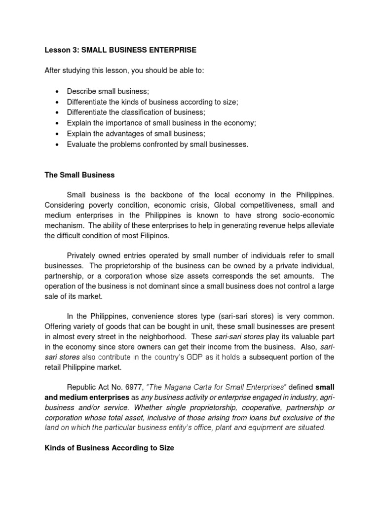 Lesson 3: Small Business Enterprise | Download Free PDF | Small ...