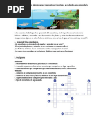 Crucigrama Respuestas | PDF | Entorno natural | Vida