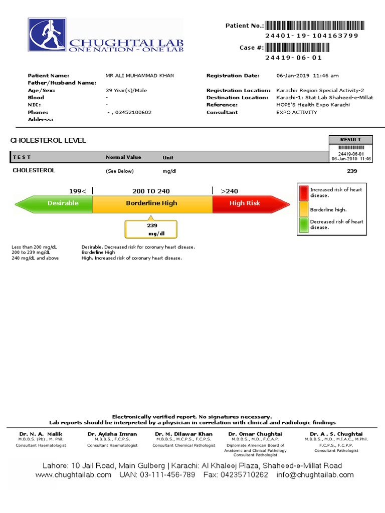 Cholesterol Level: Borderline High 199 240 | Download Free PDF ...
