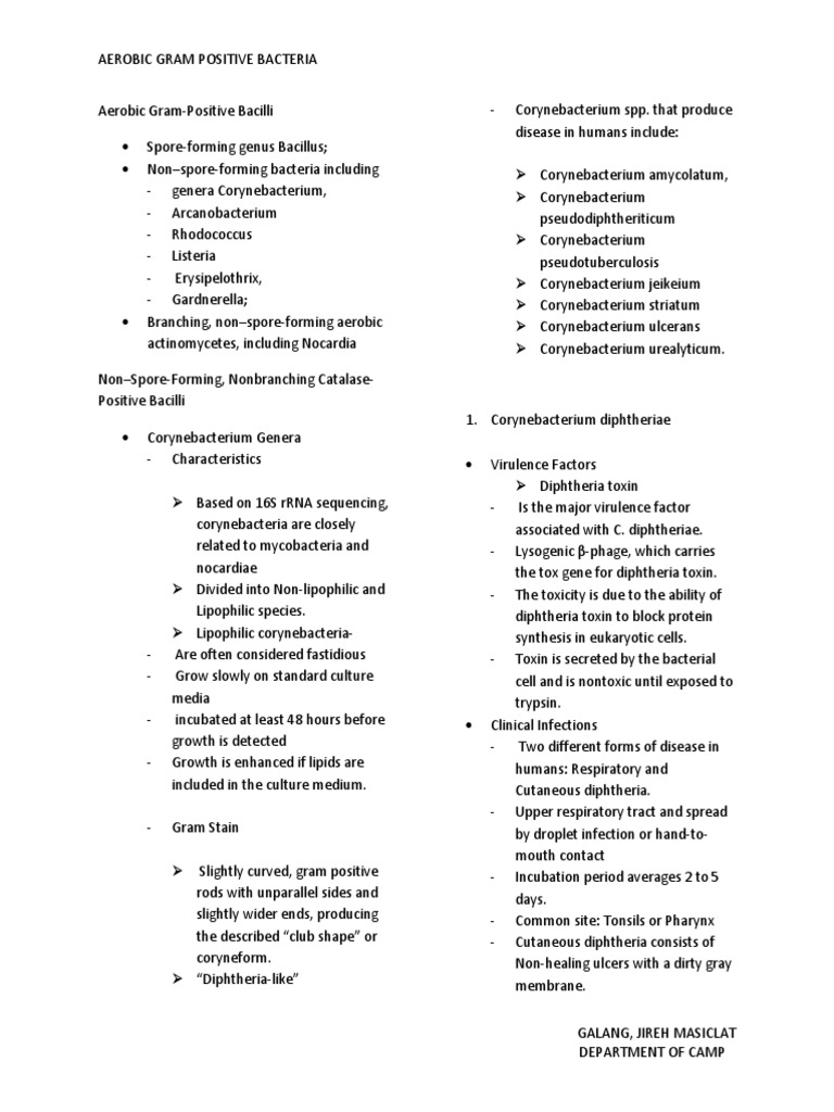 Aerobic Gram Positive | Download Free PDF | Anthrax | Bacillus