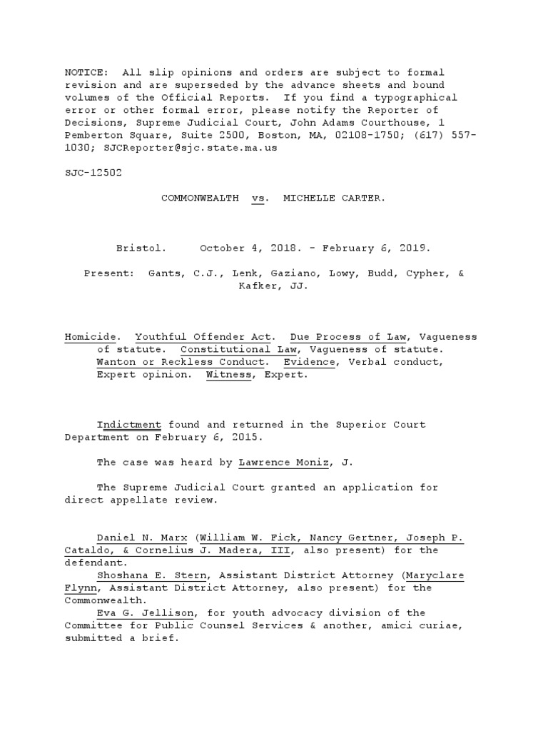 Commonwealth vs. Michelle Carter | PDF | Manslaughter | First Amendment ...