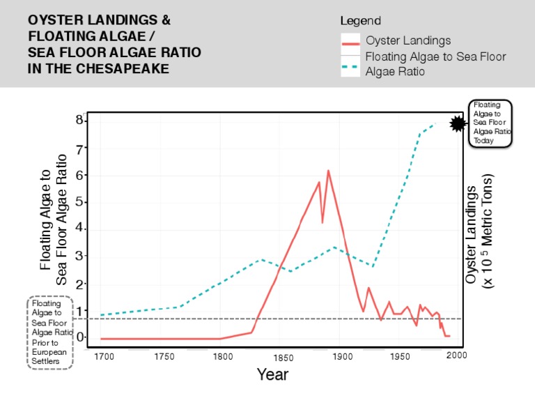 Oyster Landings & ! Floating Algae / ! Sea Floor Algae Ratio ! in The ...