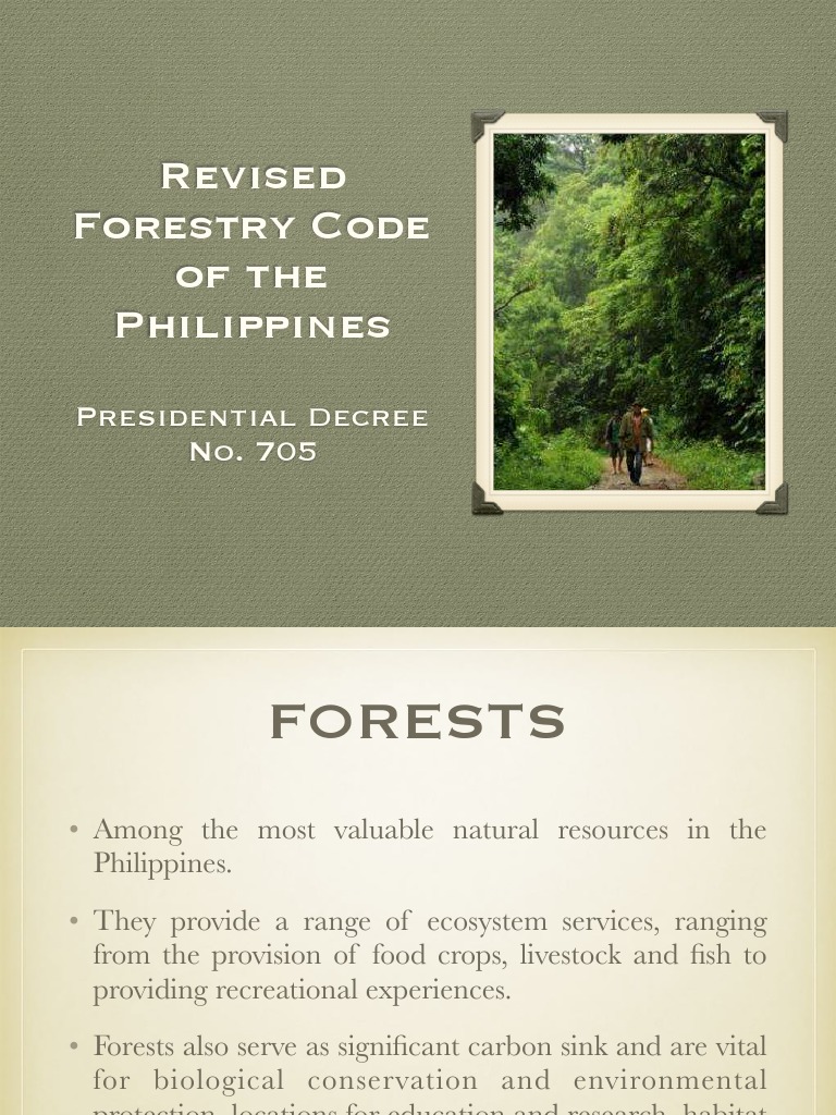 Revised Forestry Code | Download Free PDF | Forests | License