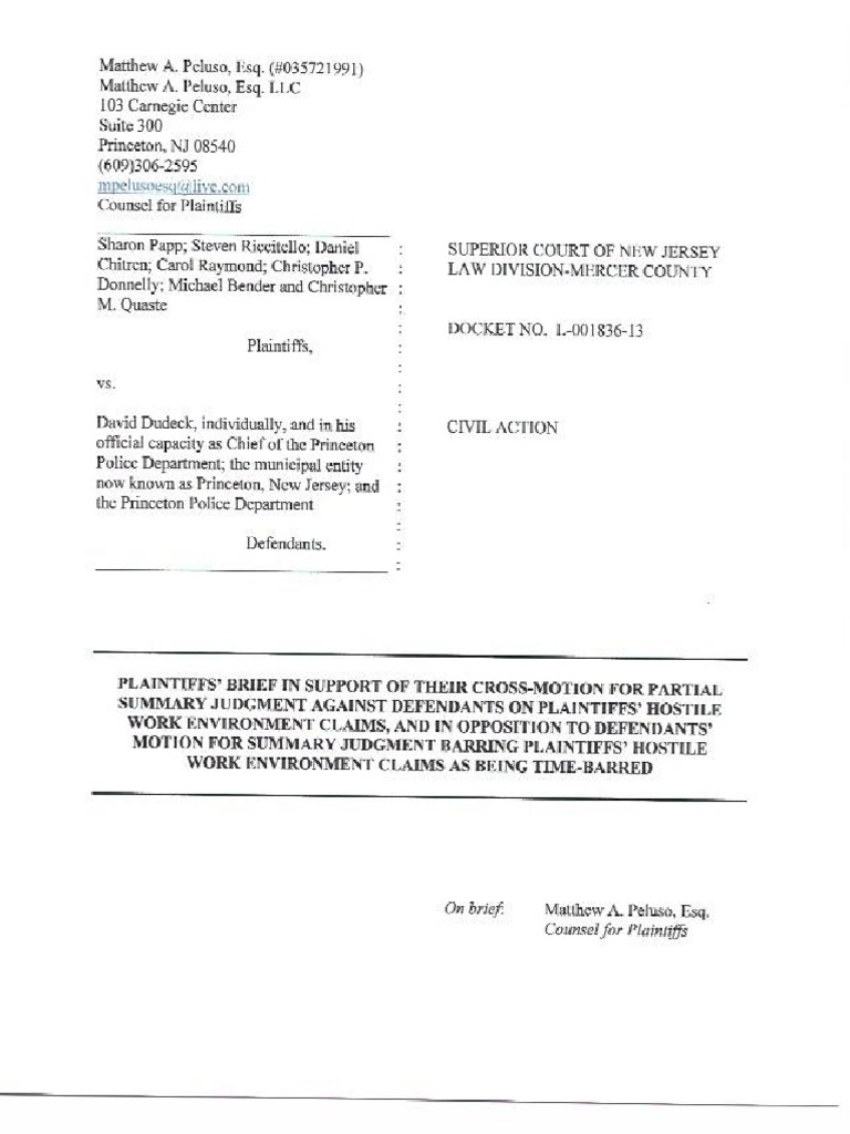 Brief in Support of Cross-Motion For Summary Judgement Sharon Papp 2013 ...