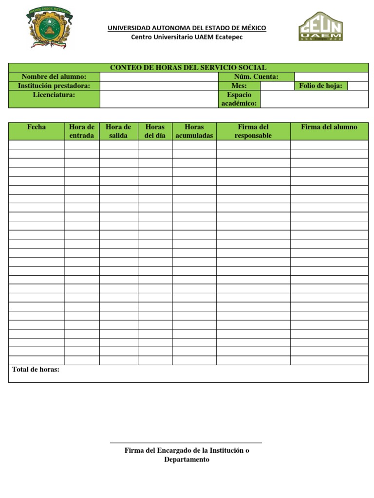 Conteo de Horas Del Servicio Social | PDF