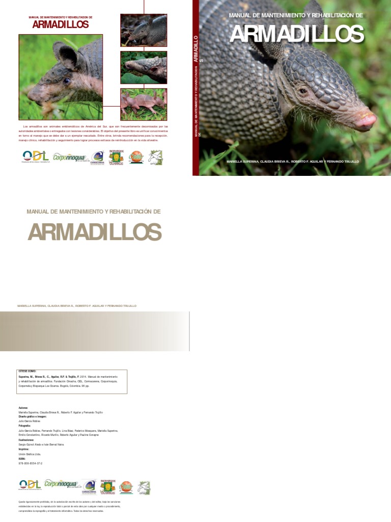 Manual Armadillos Versión Final 1 | PDF | Lavado de manos | Naturaleza