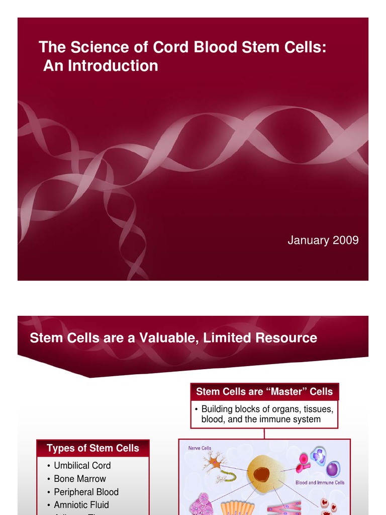 An Introduction to the Science and Potential of Cord Blood Stem Cells ...
