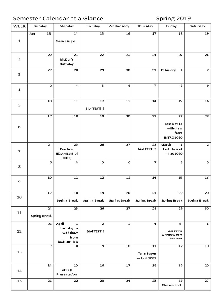 Semester Calendar Spring 2019 1 | PDF | Academic Term