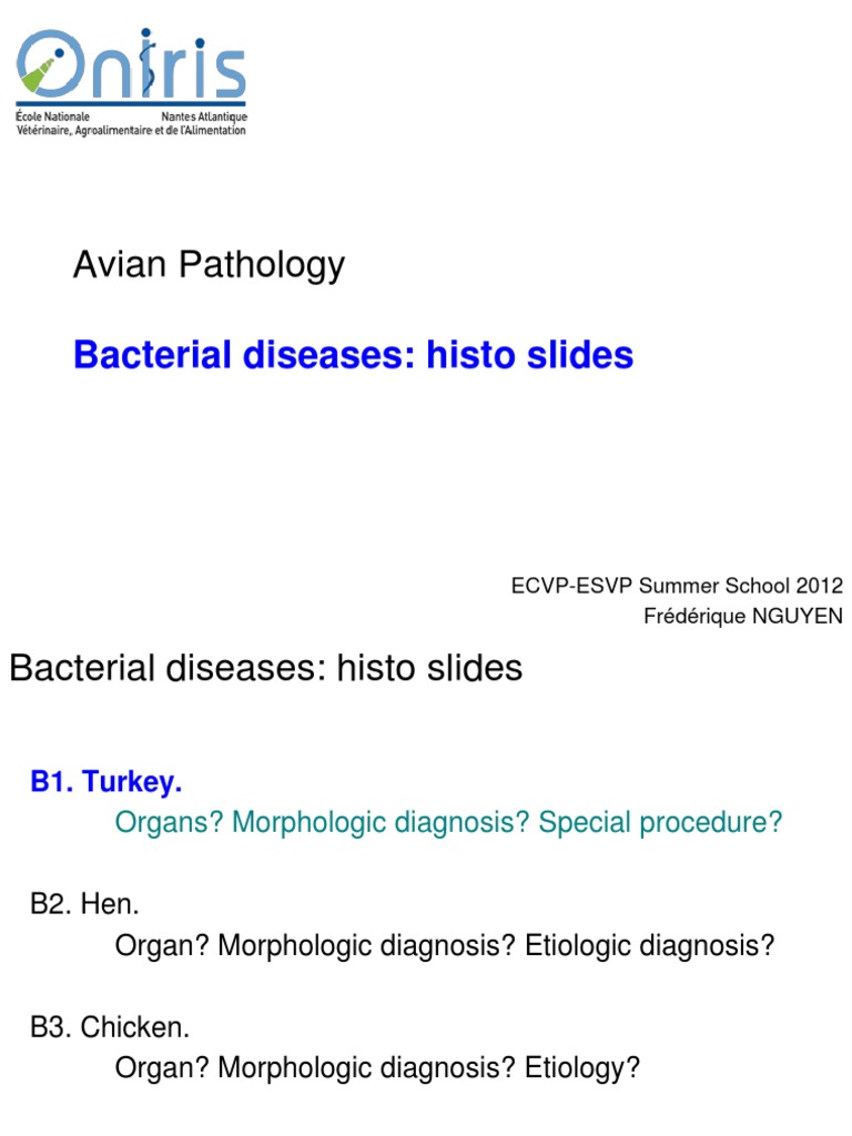 Avian Histopathology Bacterial Diseases | PDF | Anatomy | Medical ...