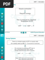 Understanding Energy Systems Interplay | PDF | Cellular Respiration ...
