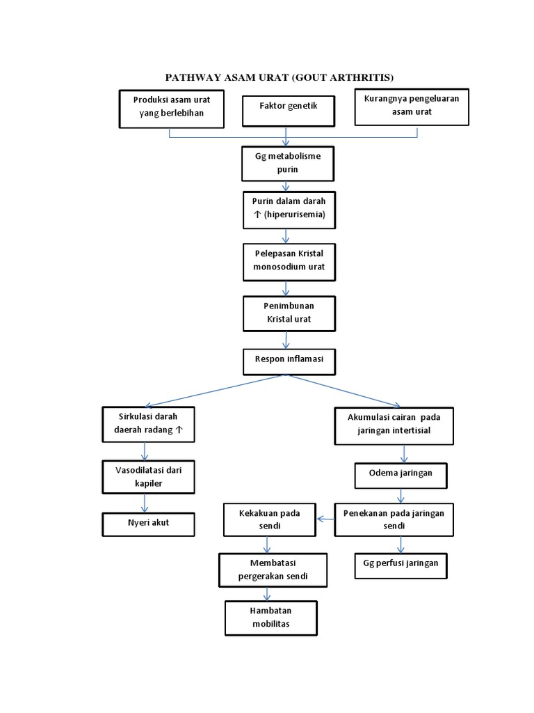 Pathway Asam Urat | PDF