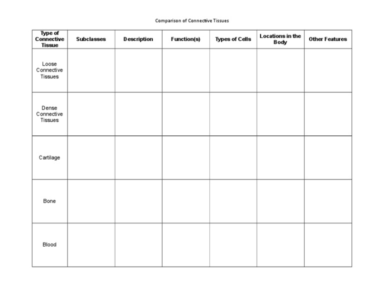 Connective Tissue Comparison | PDF
