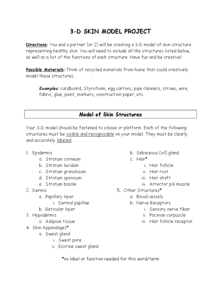 Skin Model Project | PDF