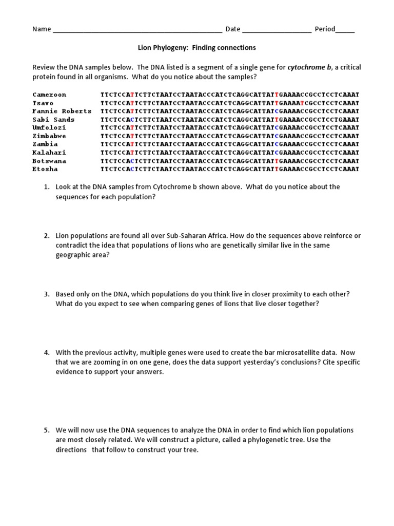 Lion Phylogeny Activity Cytochrome B | PDF | Phylogenetic Tree | Dna
