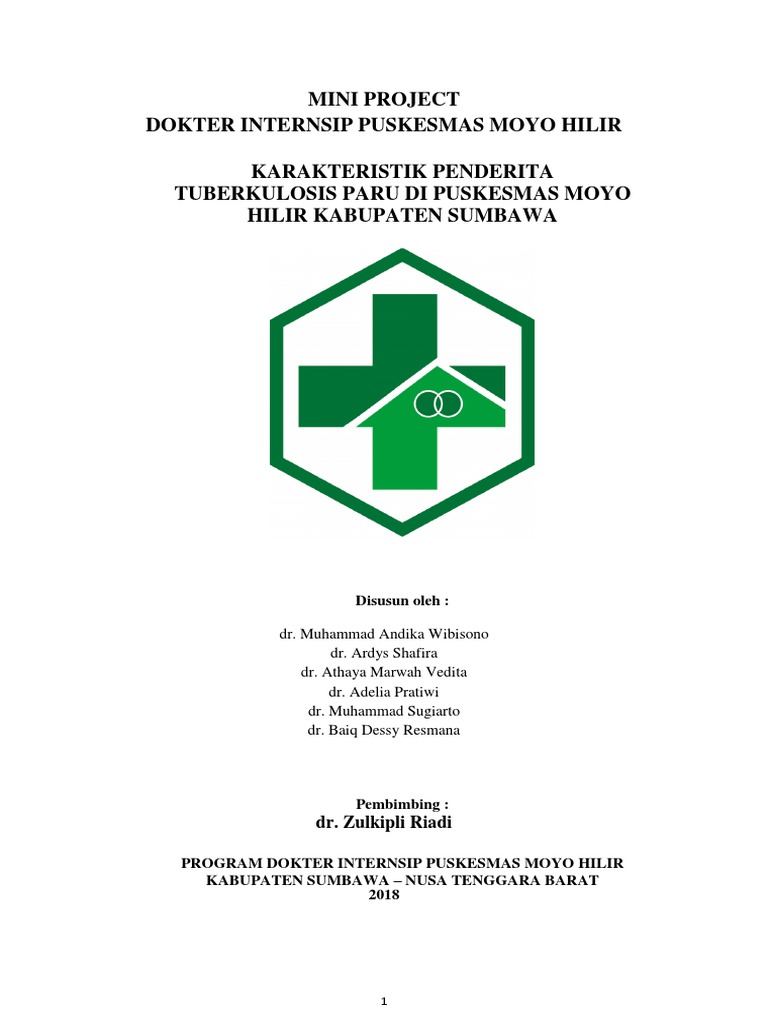 Minipro Internship | PDF