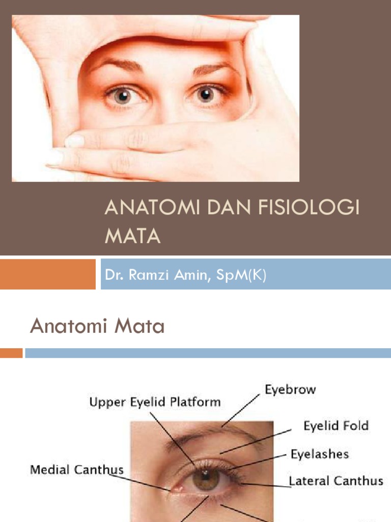 Anatomi, Fisiologi Mata Serta Overview RZ | PDF