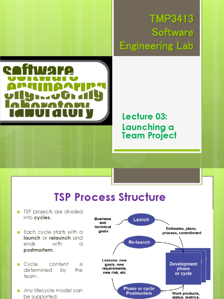 TMP3413 Software Engineering Lab: Launching A Team Project | PDF | Goal Setting | Goal