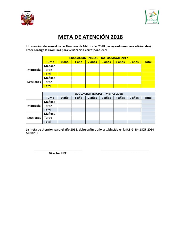 Formato Metas 2018 | PDF