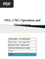 PNGRB Guidelines | PDF | Natural Gas | Pipeline Transport