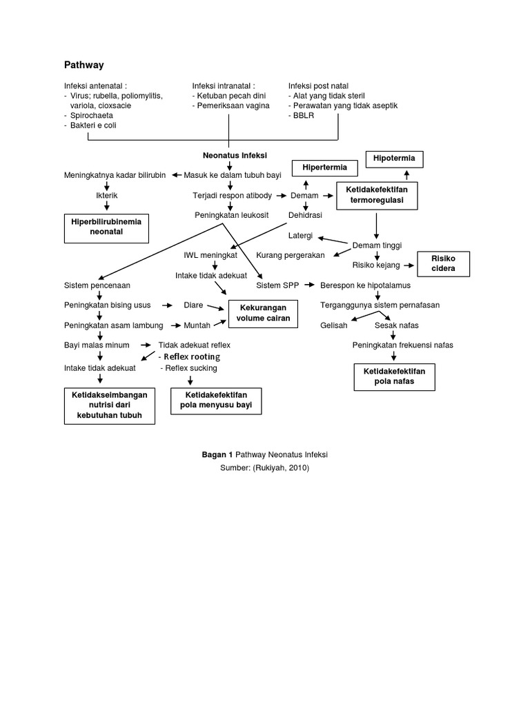 Pathway Neonatus Infeksi | PDF