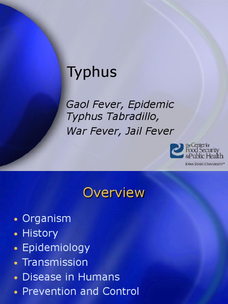 Typhus Fever | PDF | Epidemiology | Microbiology