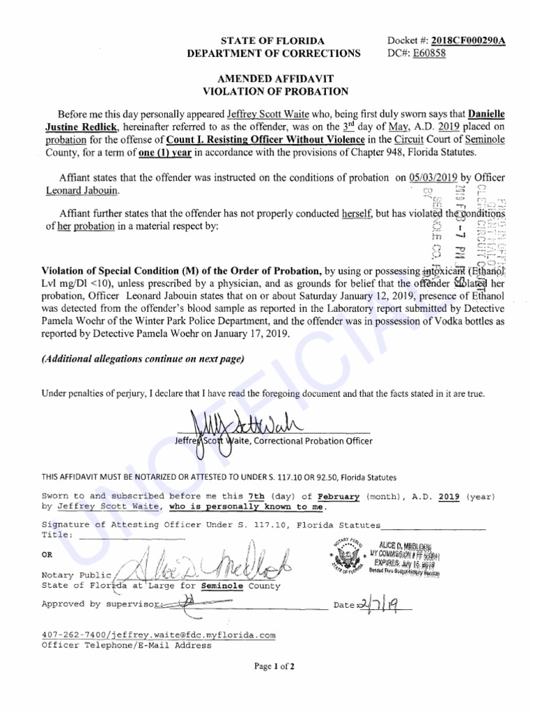 Danielle Redlick Violation of Probation Report