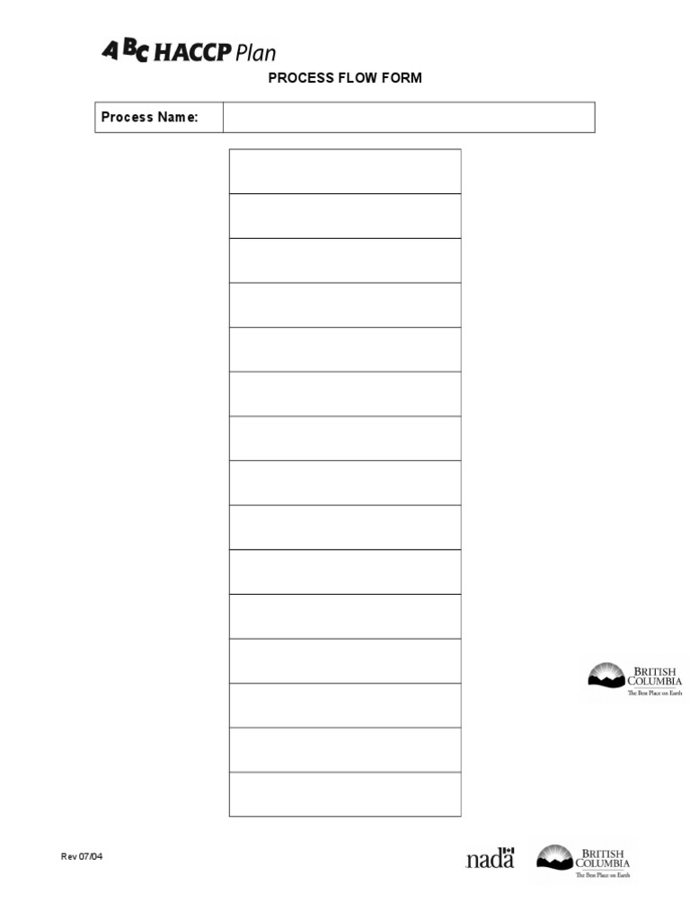 Blank Process Flow Form | PDF