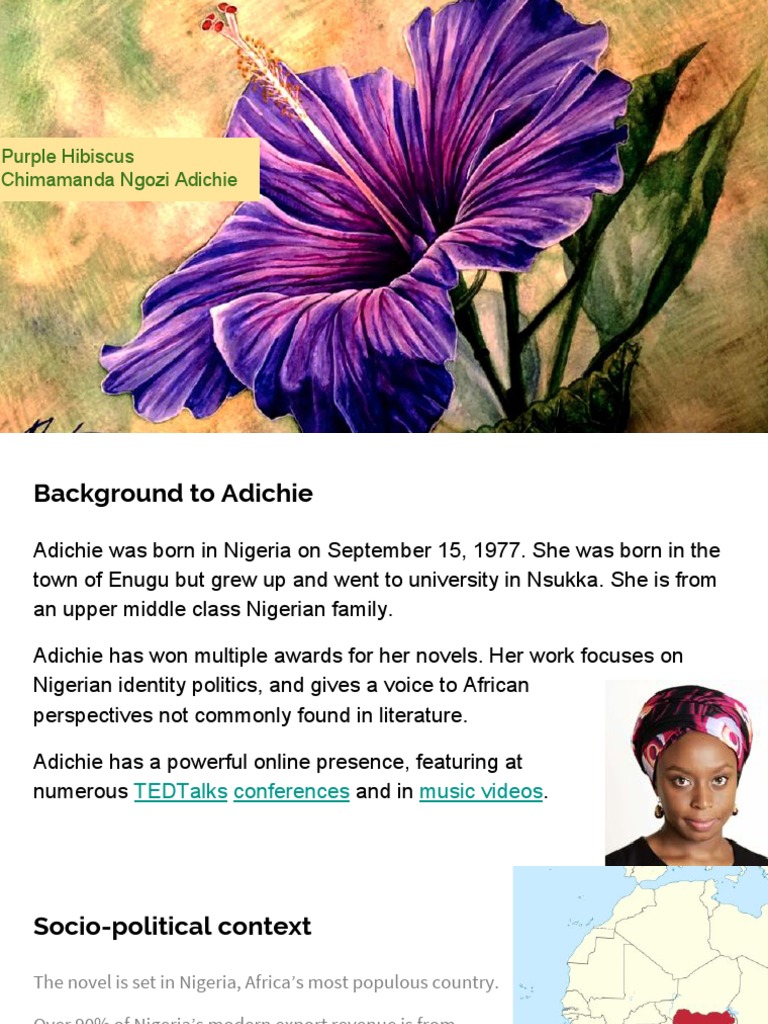 Purple Hibiscus Background With Plot Overview | PDF | Nigeria | Biafra