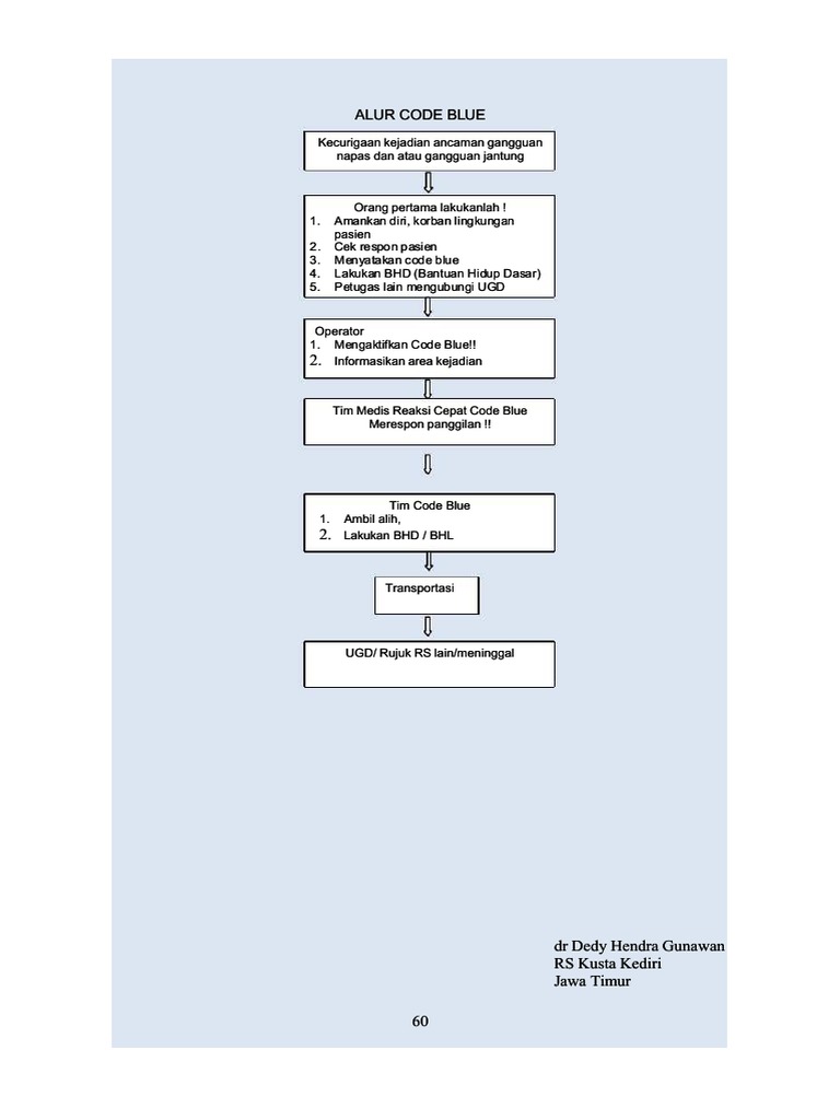 Bagan Alur Code Blue | PDF
