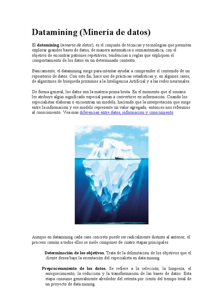 Data Mining Pdf Procesamiento De Datos Informática