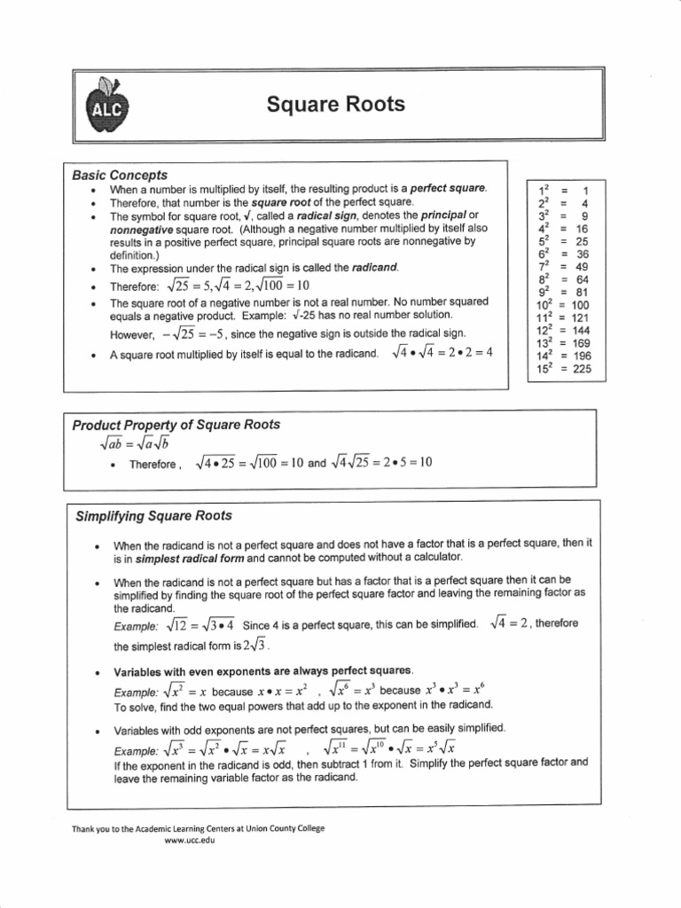 Square Roots: Basic Concepts | Download Free PDF | Square Root ...