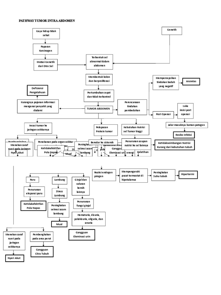 Woc Tumor Intra Abdomen | PDF