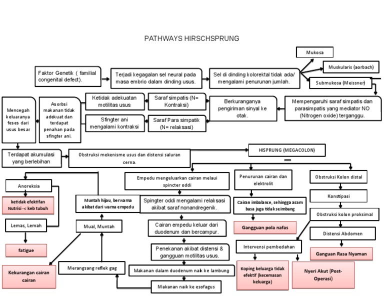 Pathways Hirschsprung | PDF