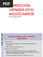 GUÍA de PROCEDIMIENTOS Control de La Diuresis | PDF | Vejiga urinaria ...