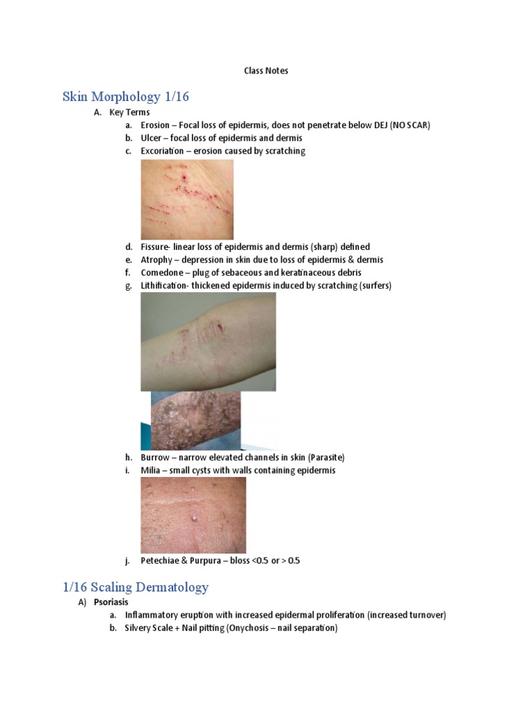 Skin Morphology 1/16 | PDF | Diseases And Disorders | Vitamin D