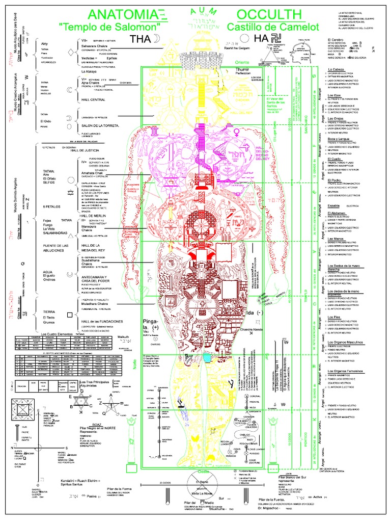 Anatomia Occulti | PDF