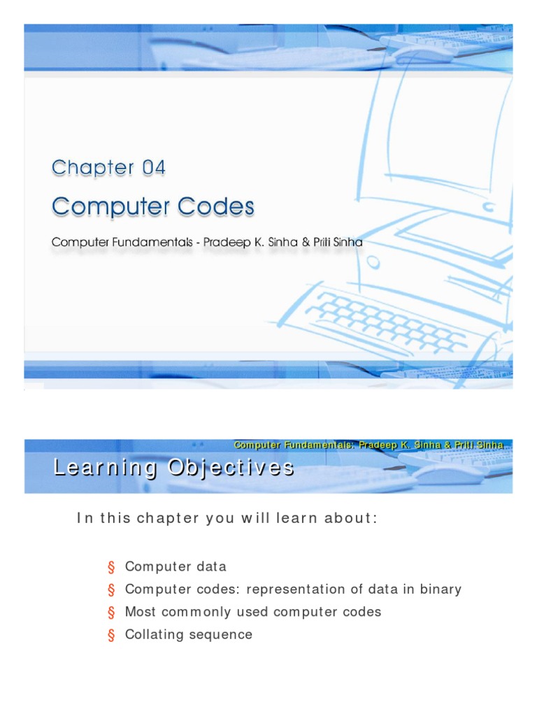 Chapter 04-Computer Codes PDF | PDF | Business