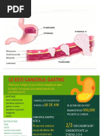 Necropsy Report | PDF | Stomach | Autopsy