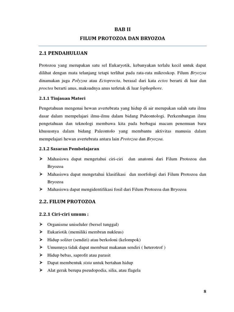 Bab Ii - (Fix) | PDF